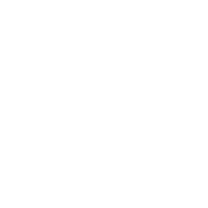 Lady Quack's Bakery and Cake Shop